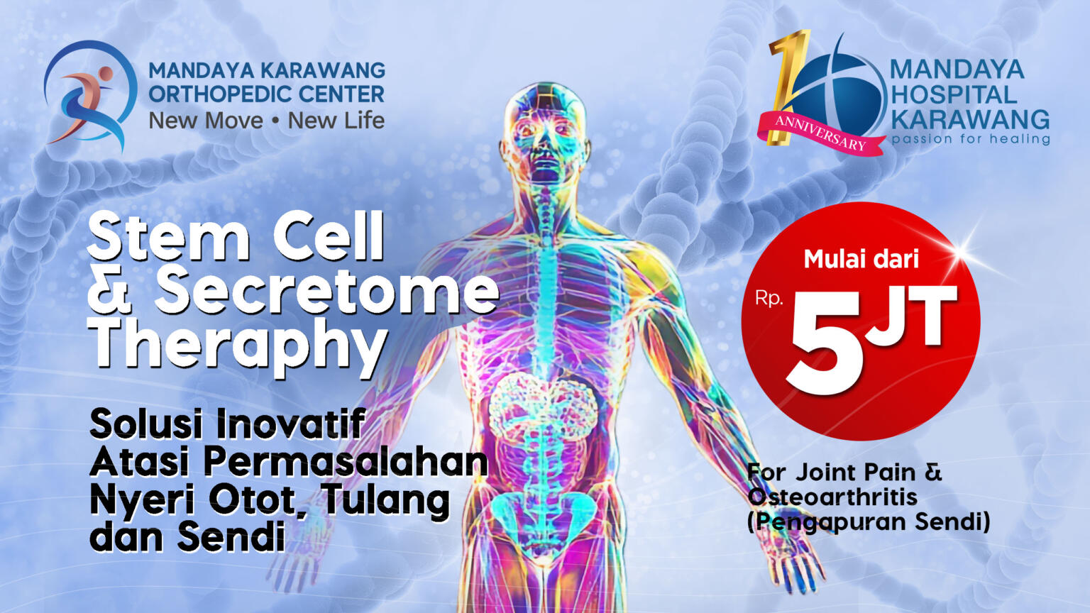 Harga Paket Terapi Stem Cell Untuk Osteoarthritis / Pengapuran Sendi ...